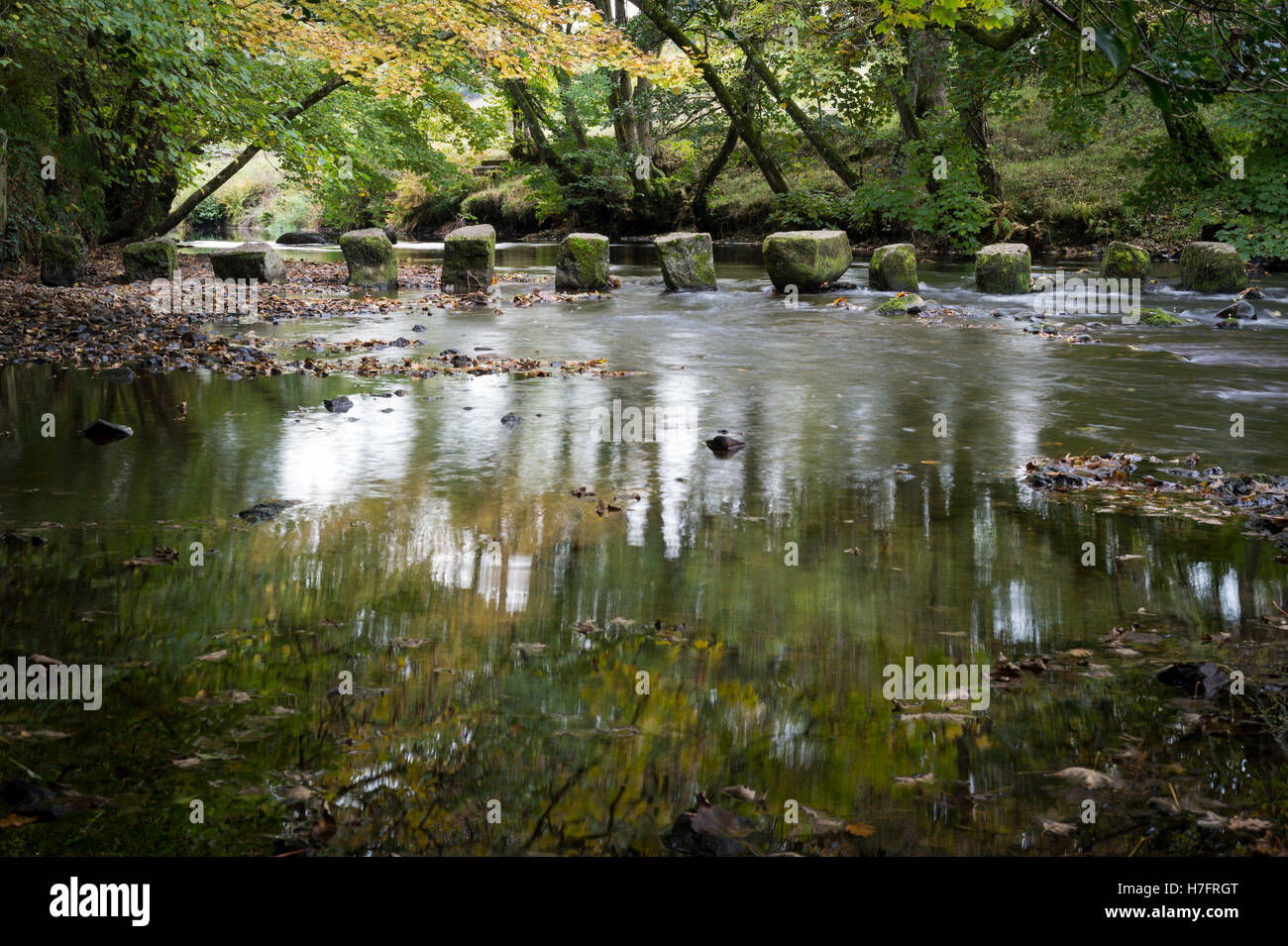 Bridford woods hi-res stock photography and images - Alamy
