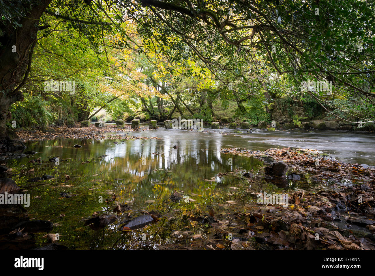 Dunsford Bridge High Resolution Stock Photography and Images - Alamy