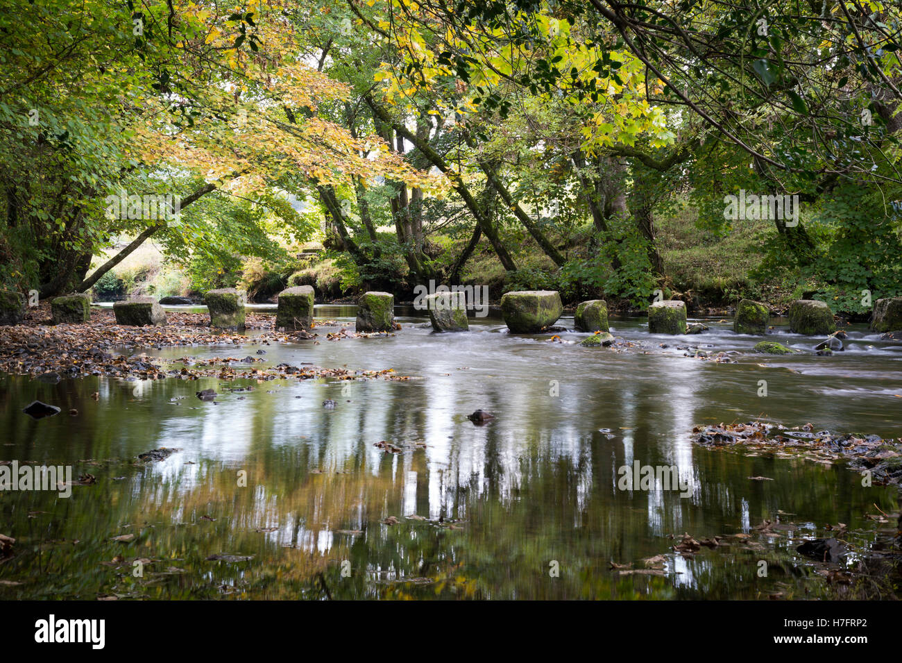 River teign at dunsford woods hi-res stock photography and images - Alamy