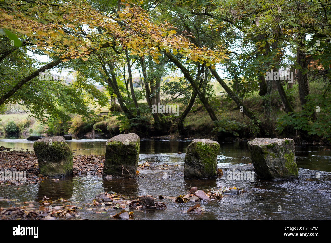 River teign at dunsford woods hi-res stock photography and images - Alamy