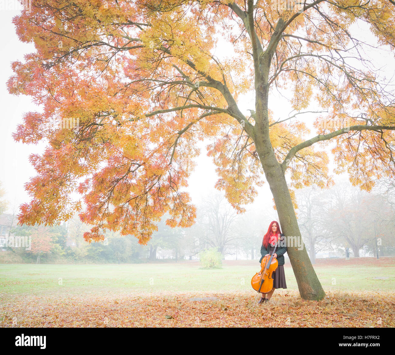 Portrait of a redheaded women posing with a cello under Autumn trees ...