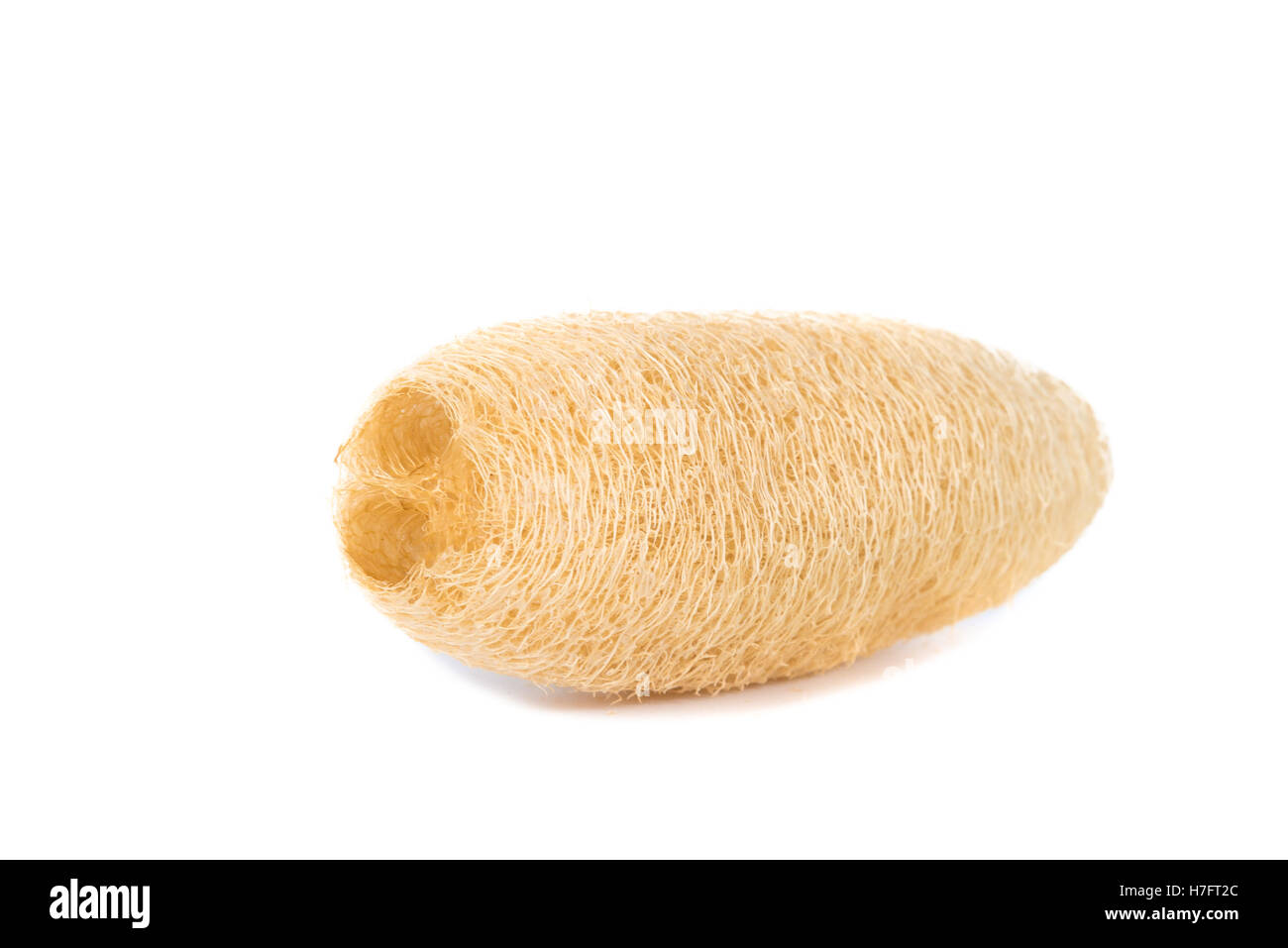 Dry Luffa, luffa sponge on white background, isolated with soft shadow ...
