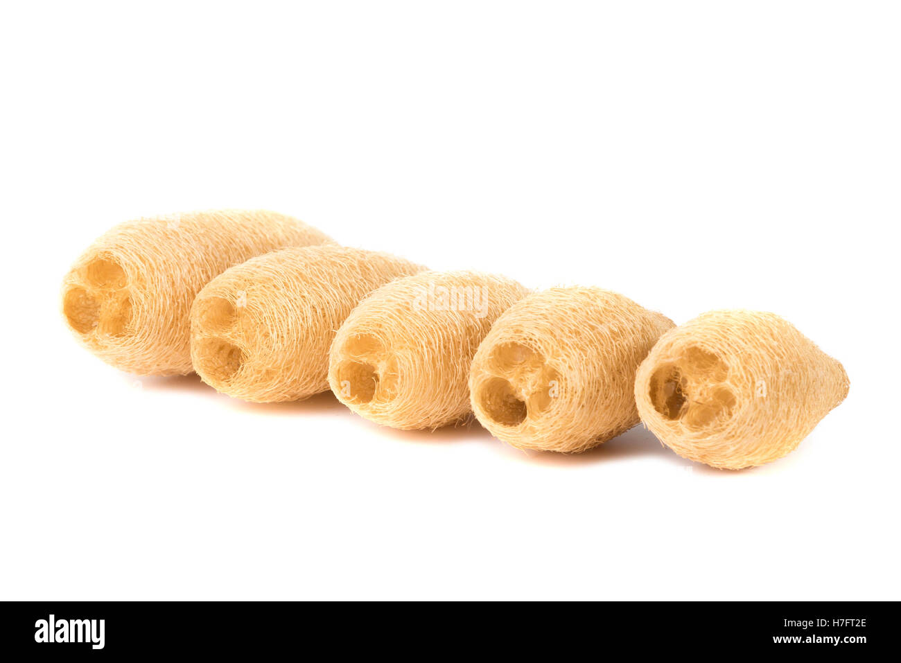 Dry Luffa, luffa sponge on white background, isolated with soft shadow ...