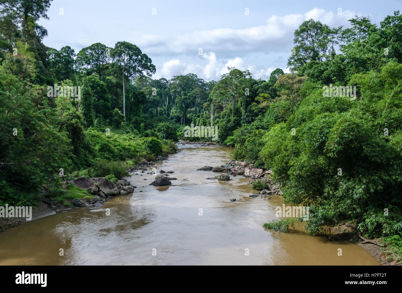 River flowing through the primary rainforest in Danum Valley Stock ...