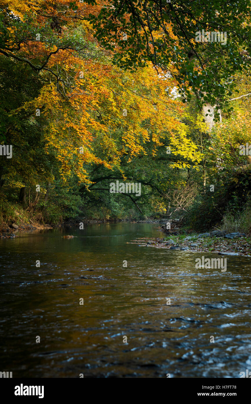 Autumn colored trees beside hi-res stock photography and images - Alamy