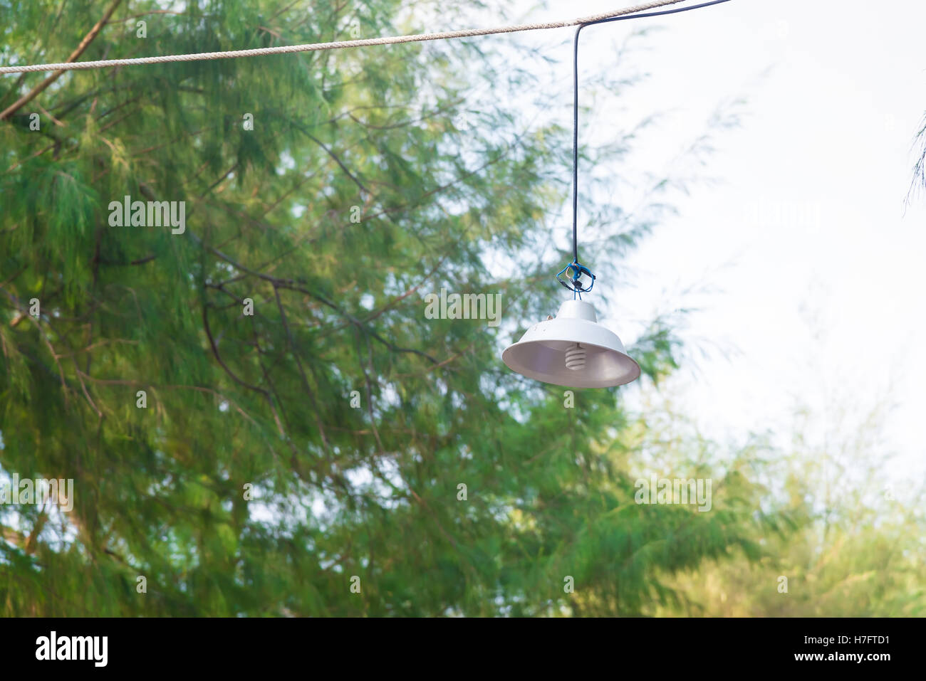 Hanging lamp with pine tree background, decorative Stock Photo - Alamy