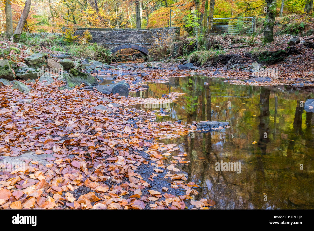 A stone footbridge which crosses over a small river in the countryside ...