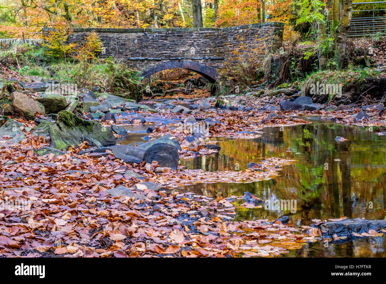 A stone footbridge which crosses over a small river in the countryside ...