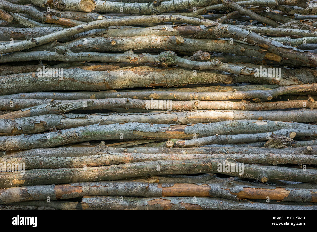 Branches placed on a pile hi-res stock photography and images - Alamy