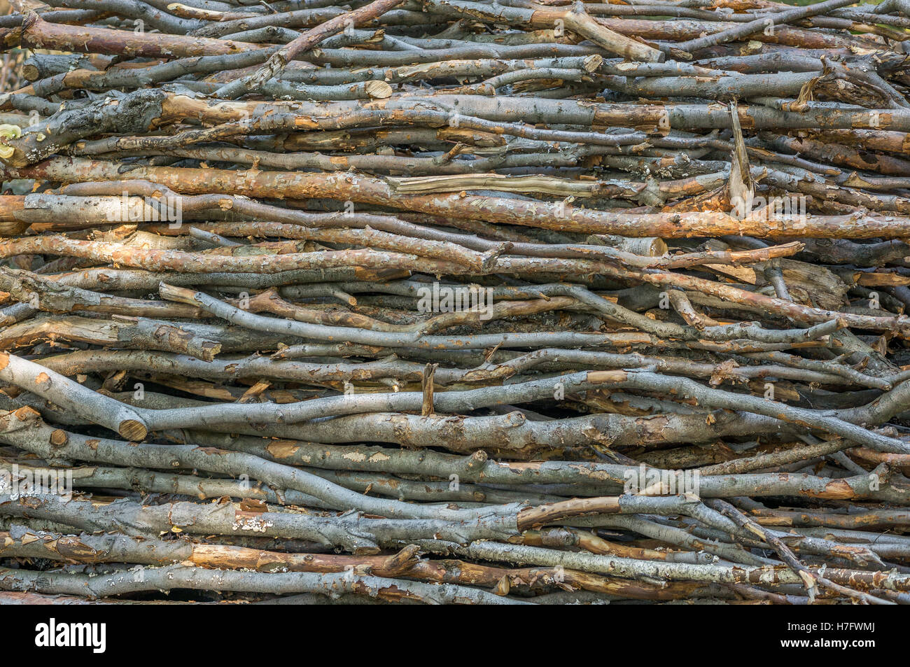 Branches placed on a pile hi-res stock photography and images - Alamy