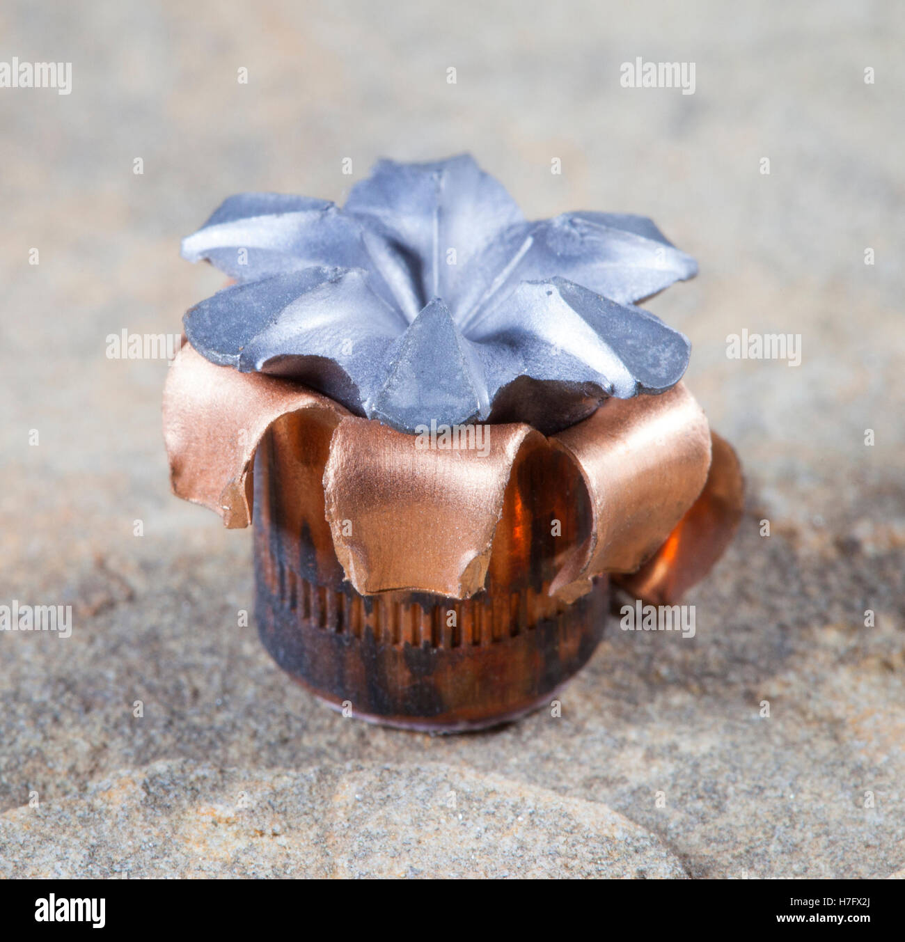 Hollow point bullet that is shaped like a mushroom after firing Stock ...