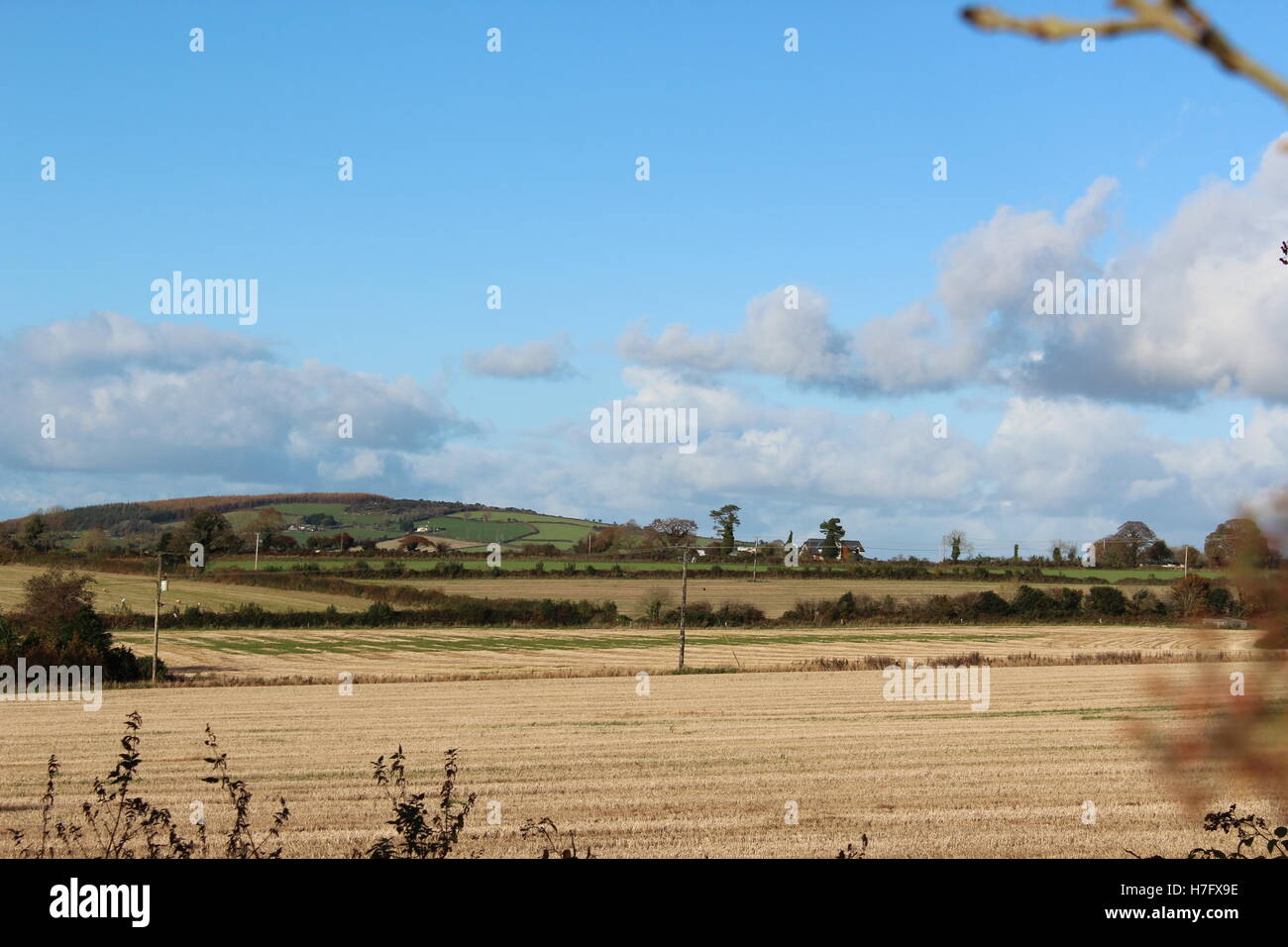 Field with clouds hi-res stock photography and images - Alamy