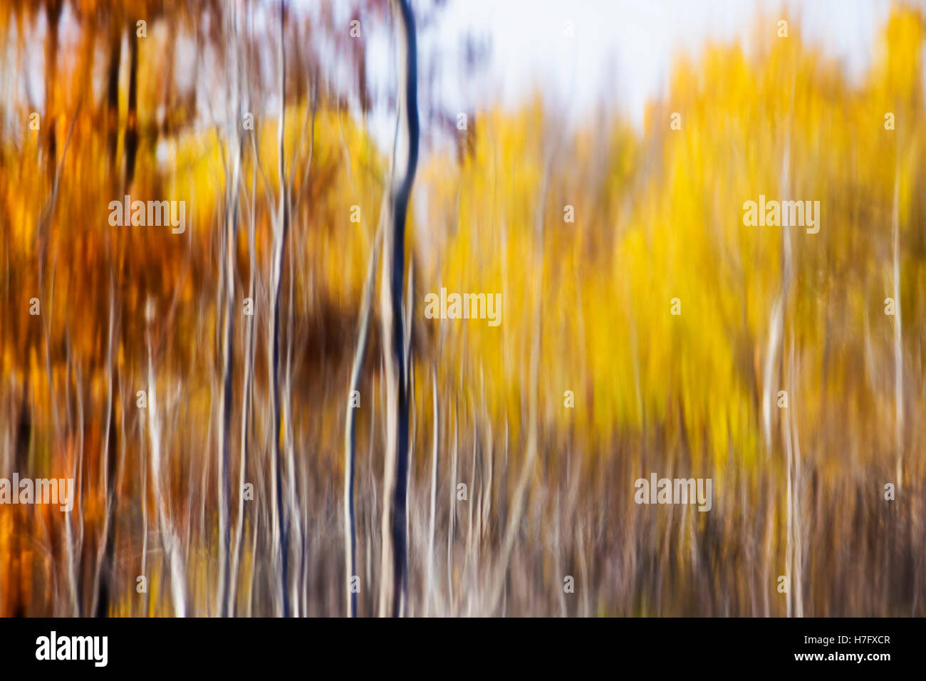 Fall Abstract landscape Stock Photo - Alamy