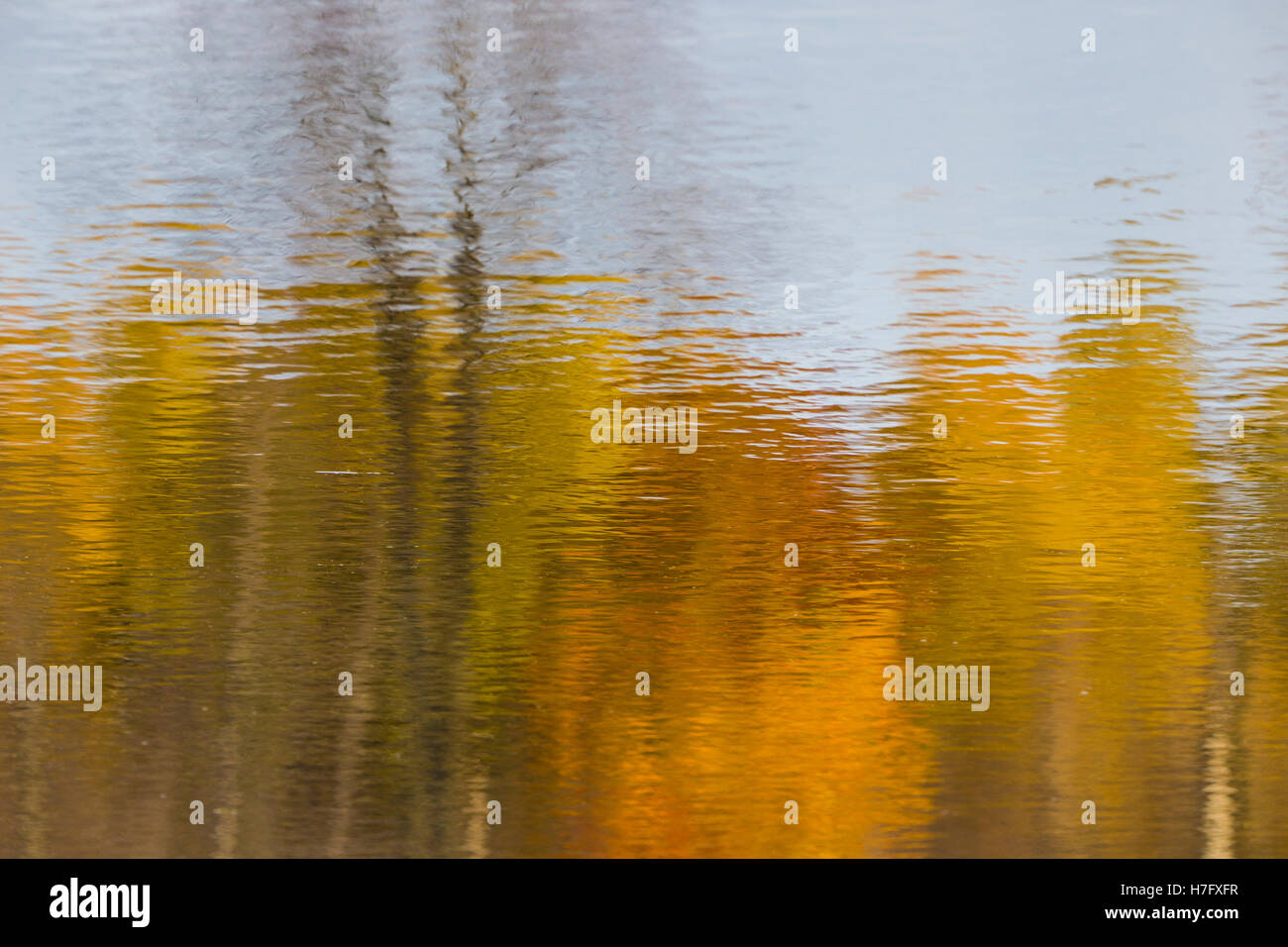 Fall Abstract landscape Stock Photo - Alamy