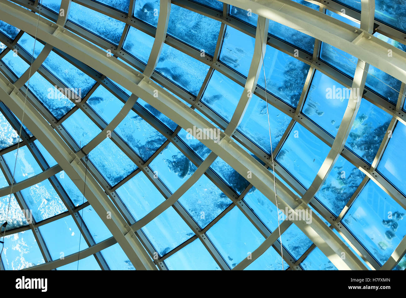 building glass construction roof Stock Photo - Alamy