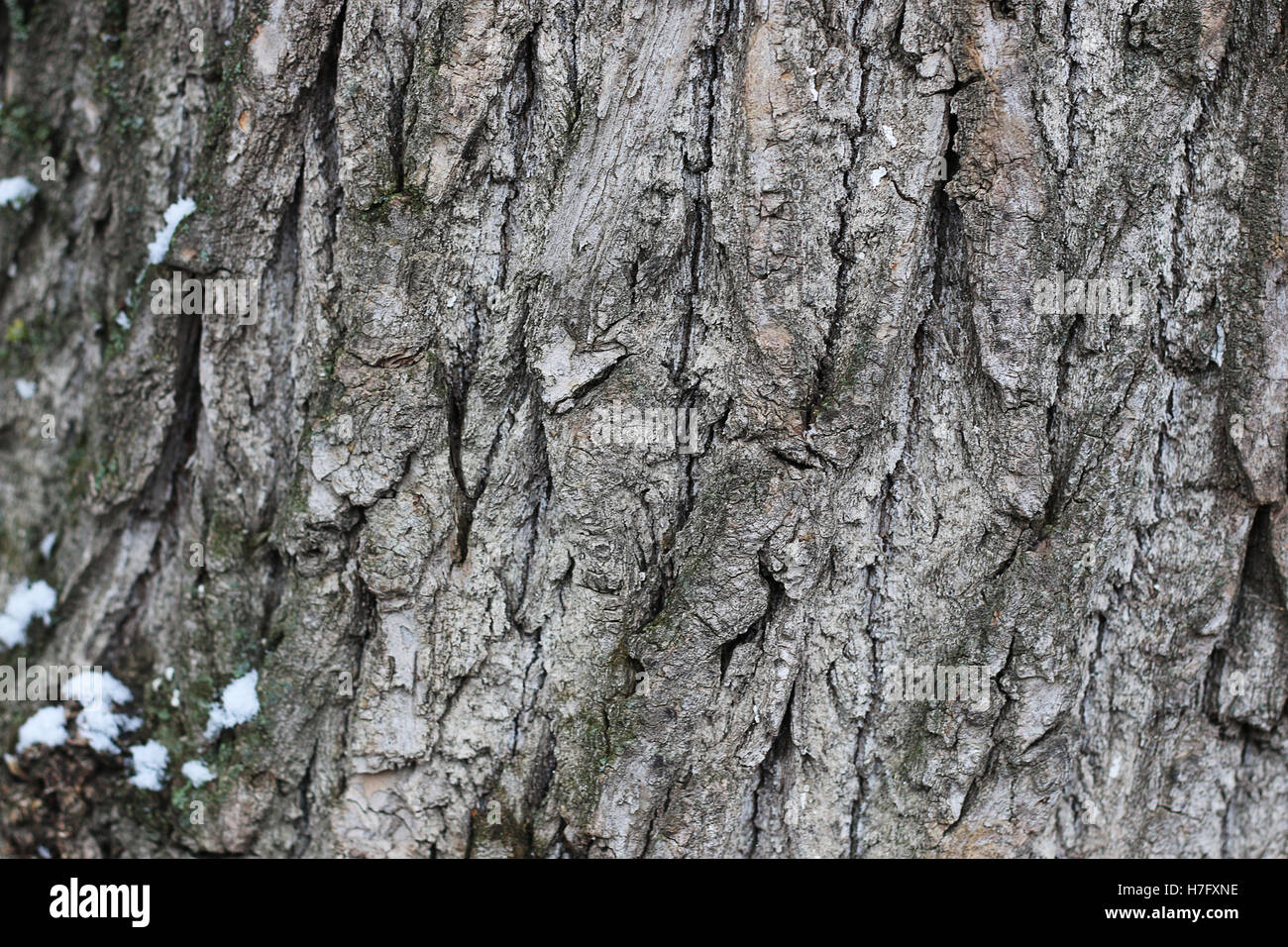 Crust scab hi-res stock photography and images - Alamy