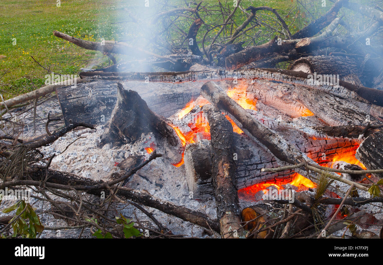 Pile of brush being burned in a green field Stock Photo - Alamy