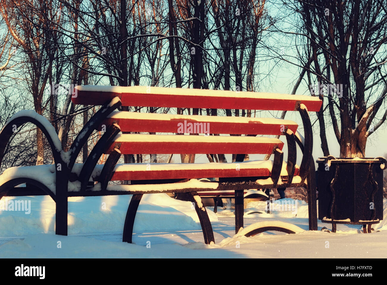 Winter Park bench Alley Stock Photo - Alamy