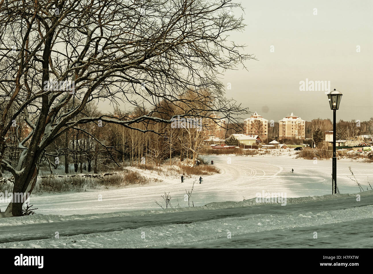 city winter alley tree Stock Photo - Alamy