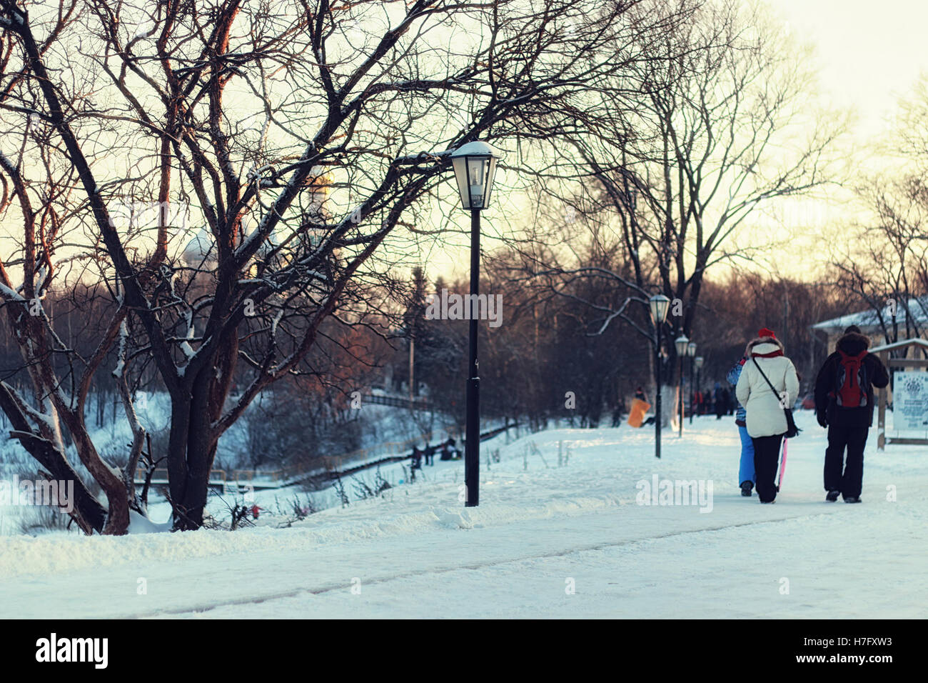Winter street light tree Stock Photo - Alamy
