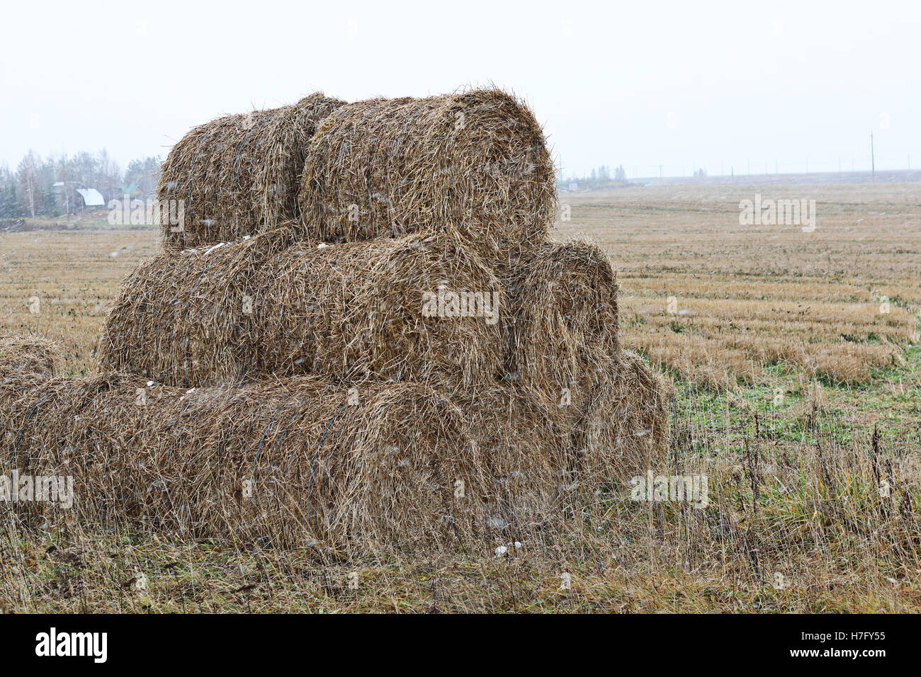 Fall field straw stack Stock Photo - Alamy