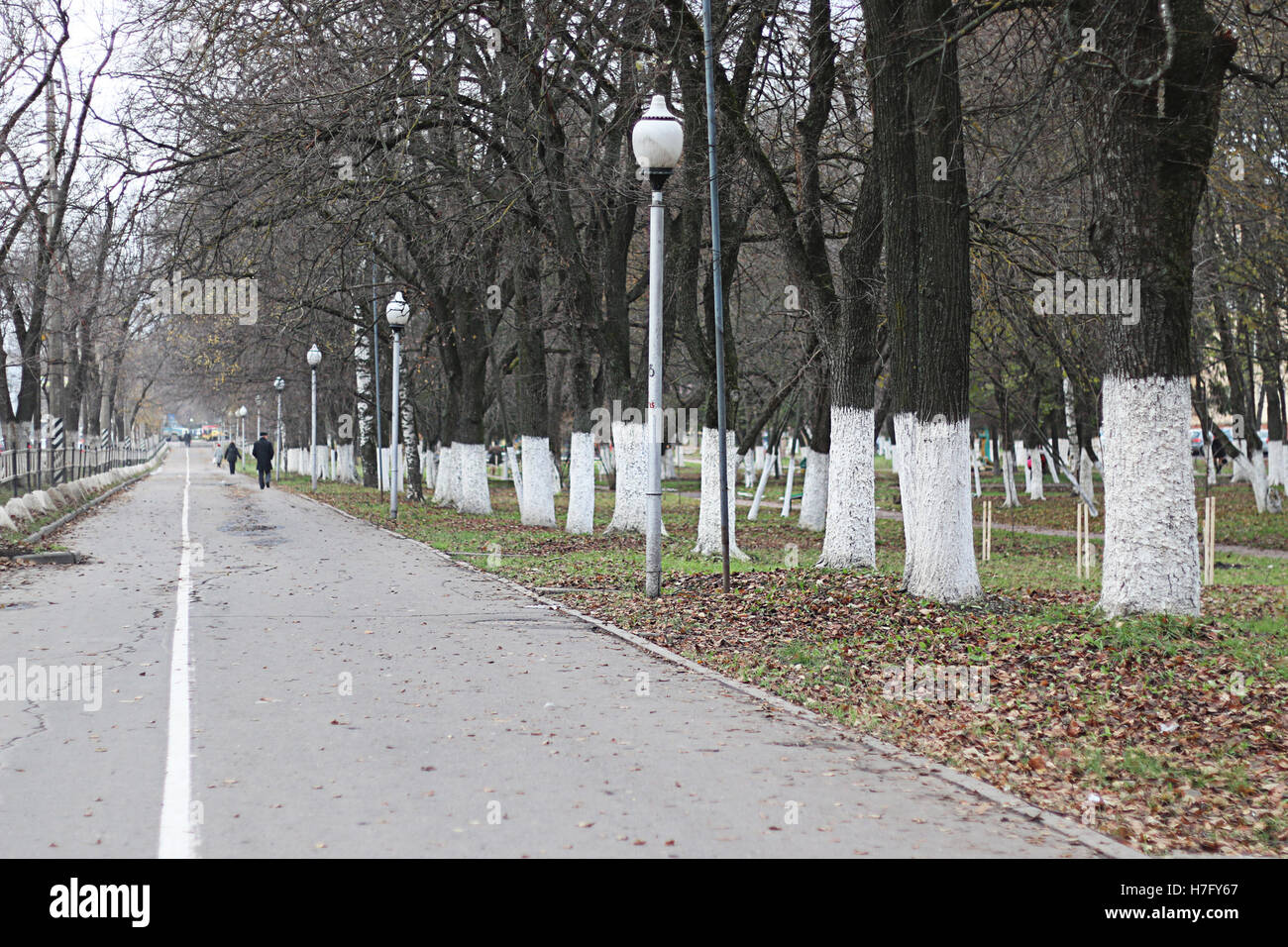 Perspective sidewalk in the park Stock Photo - Alamy