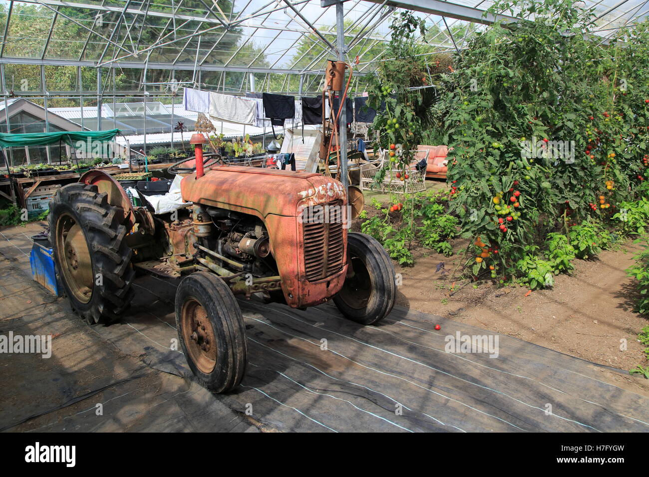 Potager garden hi-res stock photography and images - Alamy