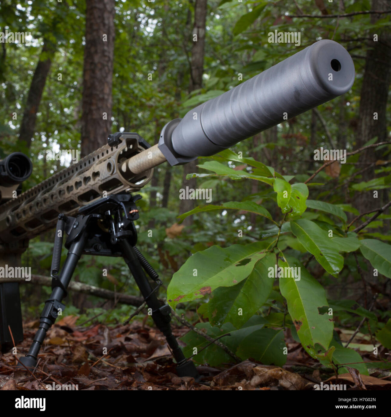 Silencer on a modern sporting rifle that is in the trees Stock Photo ...