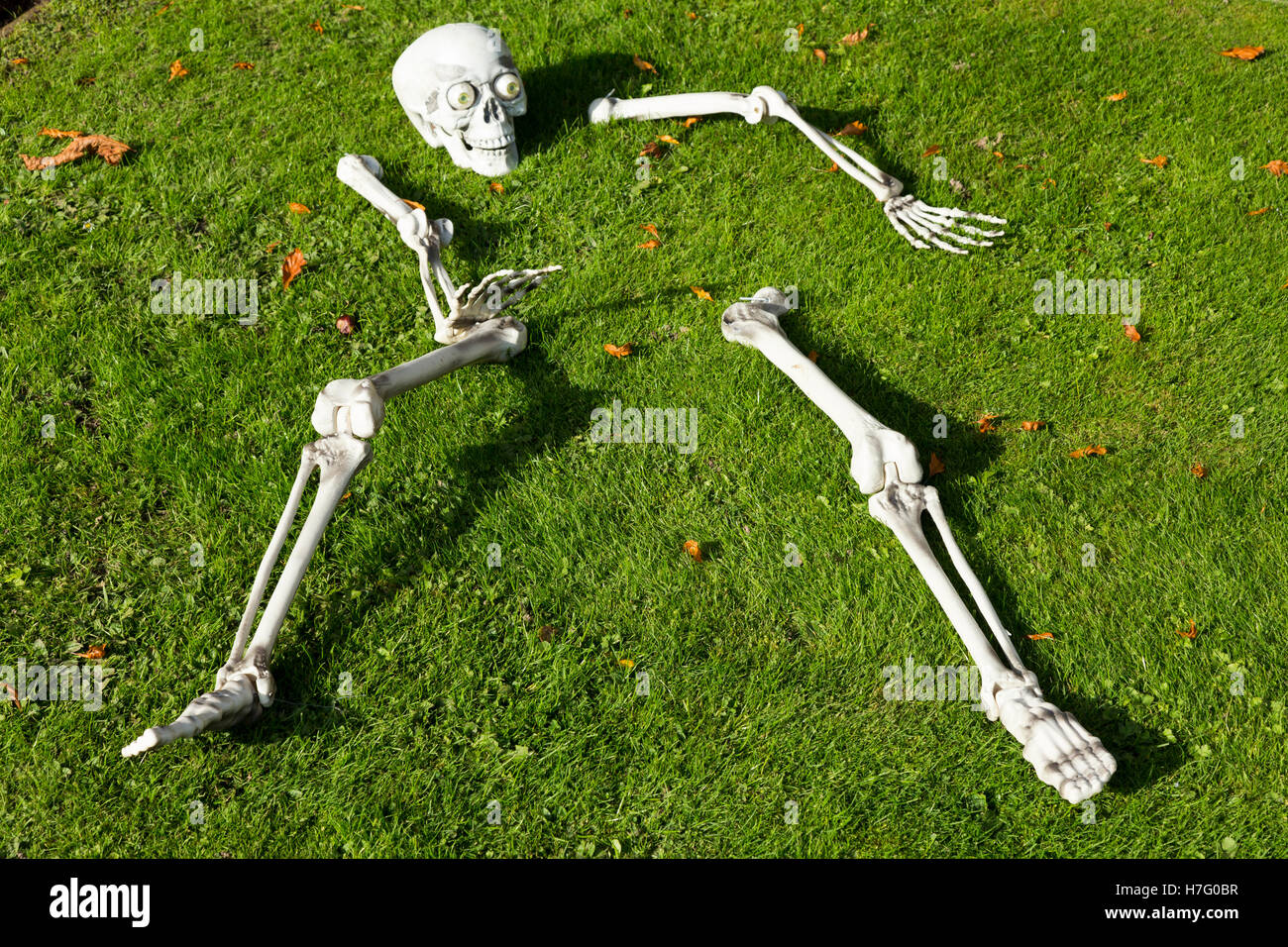 Halloween skeleton on grass lawn ; could illustrate death or buried ...