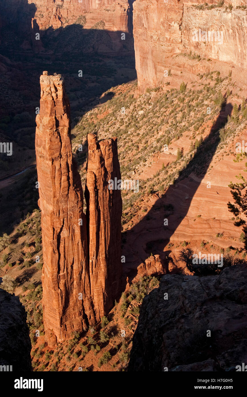 Spider Rock monolith photo taken from a a elevated position captures ...