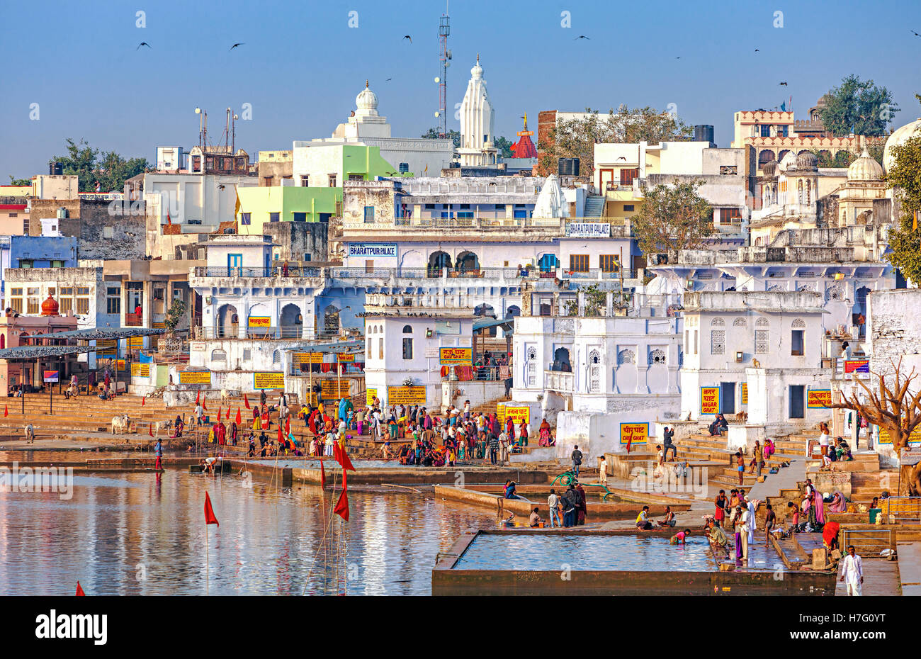 Hindu pilgrims bathing in sacred Lake Pushkar (Sarovar) on ghats ...