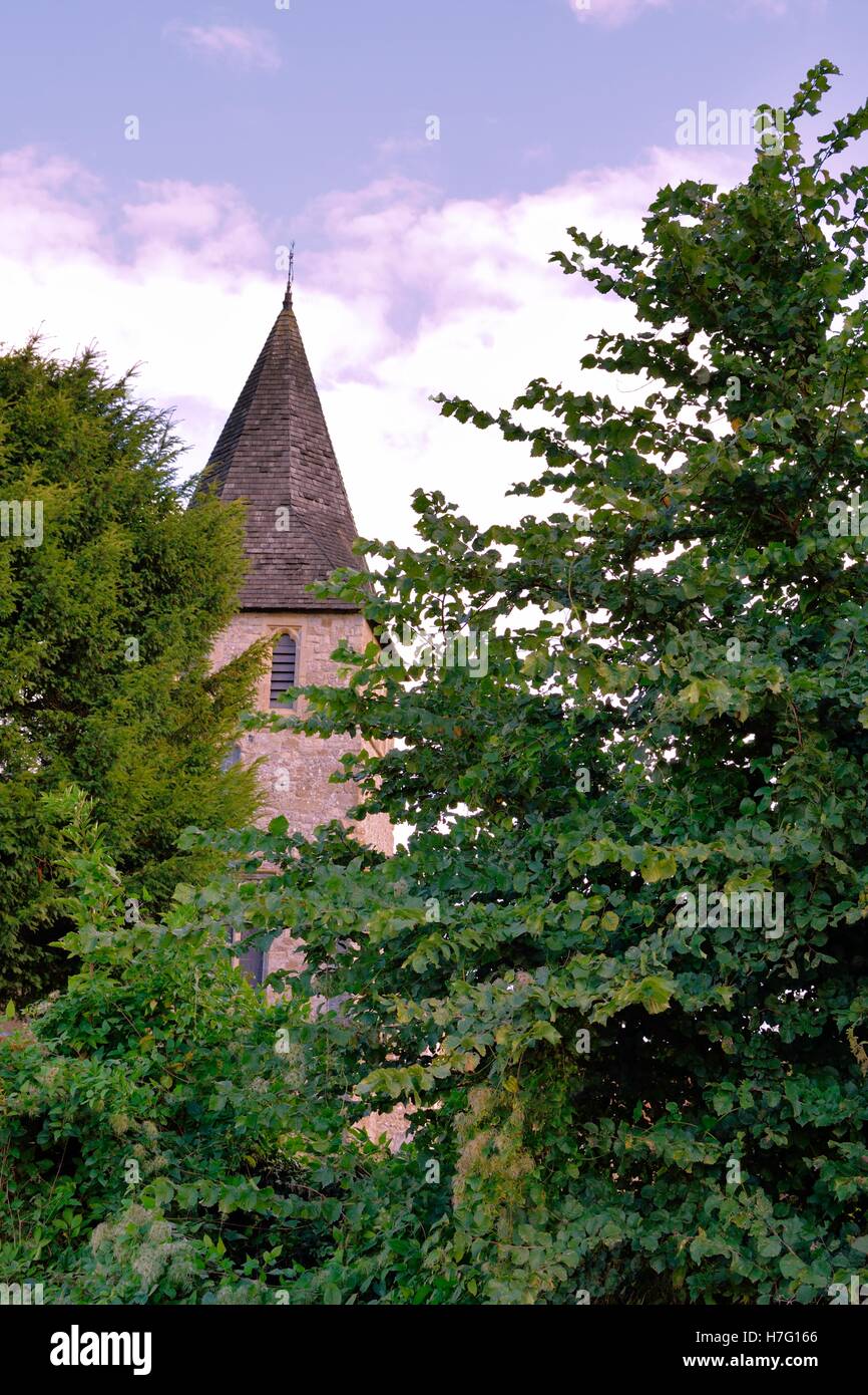 Partial view of church spire in some trees Stock Photo - Alamy