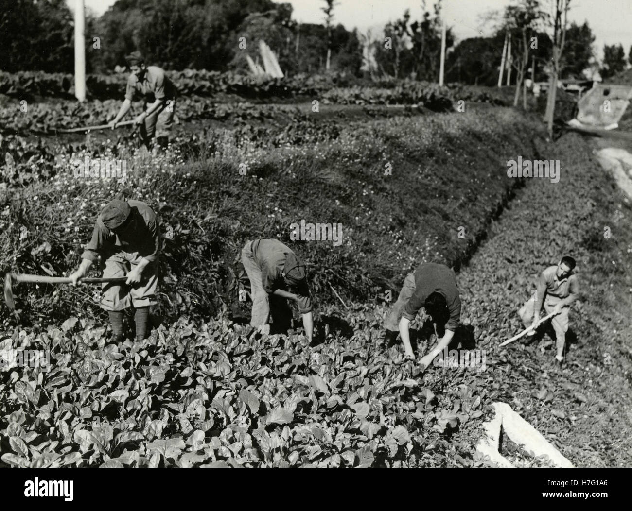Work italy hi-res stock photography and images - Alamy