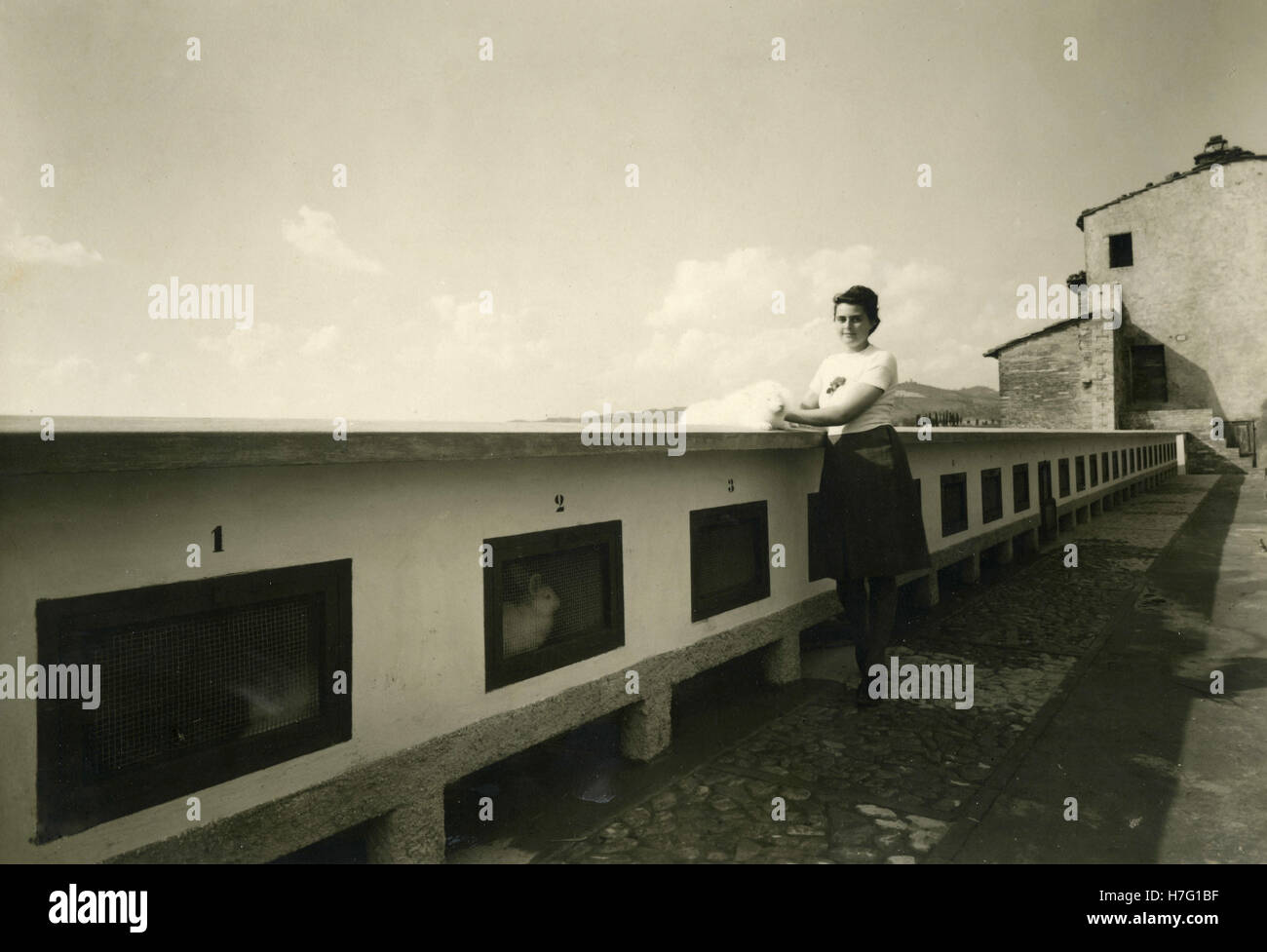 Breeding cages hi-res stock photography and images - Alamy