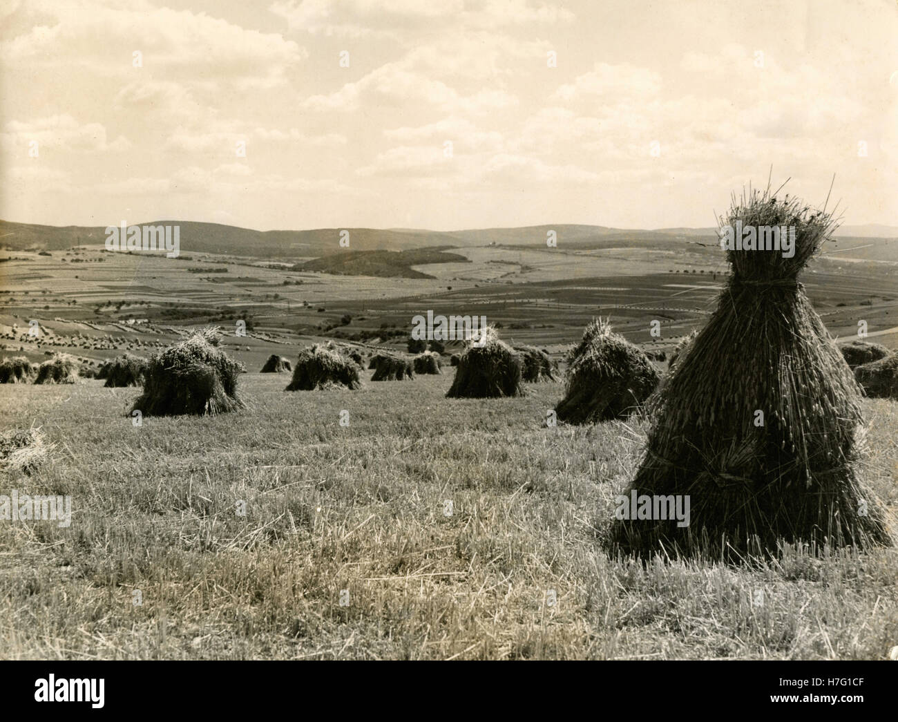 Sheaves hi-res stock photography and images - Alamy