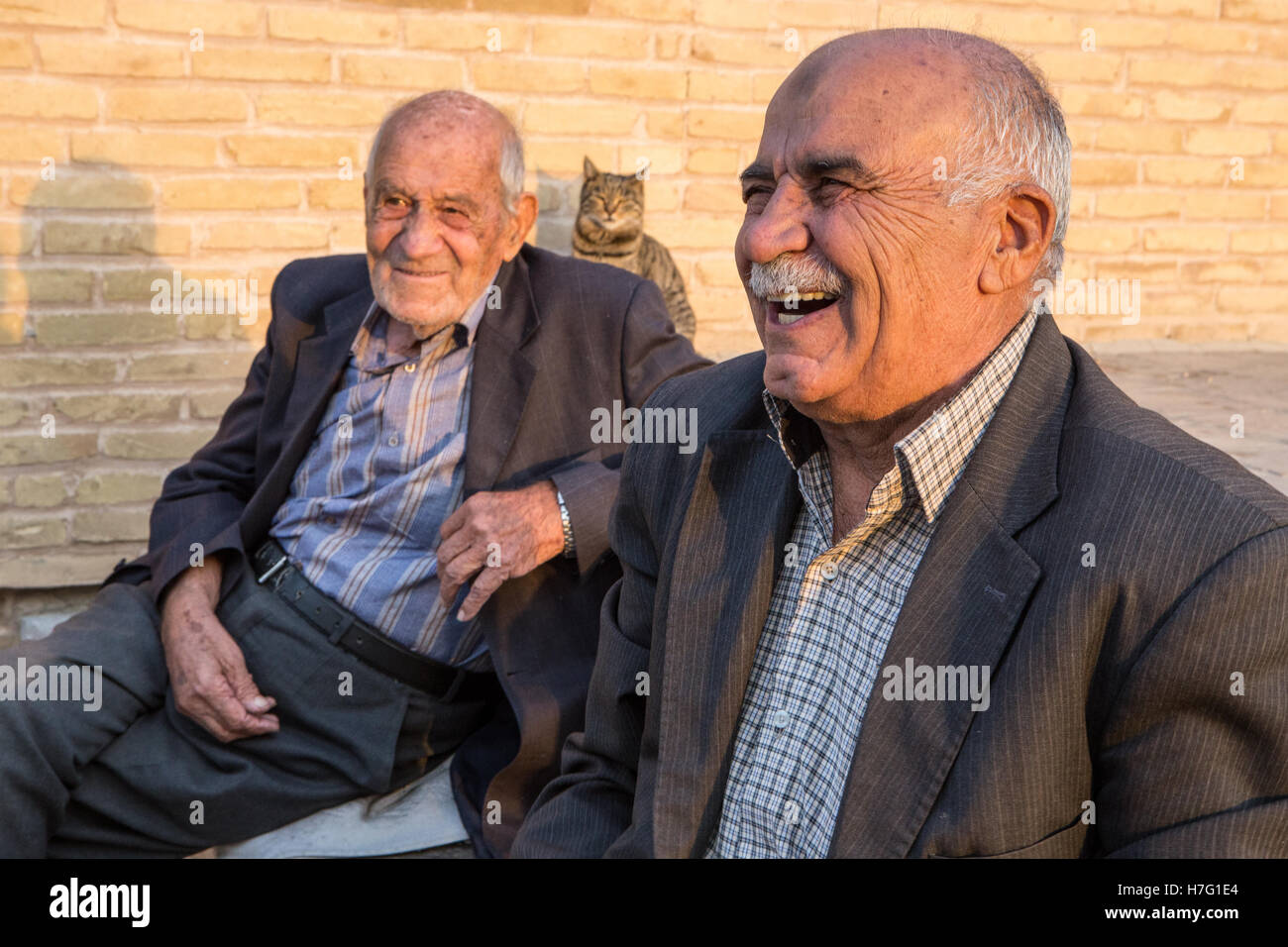 two men and a cat Stock Photo - Alamy