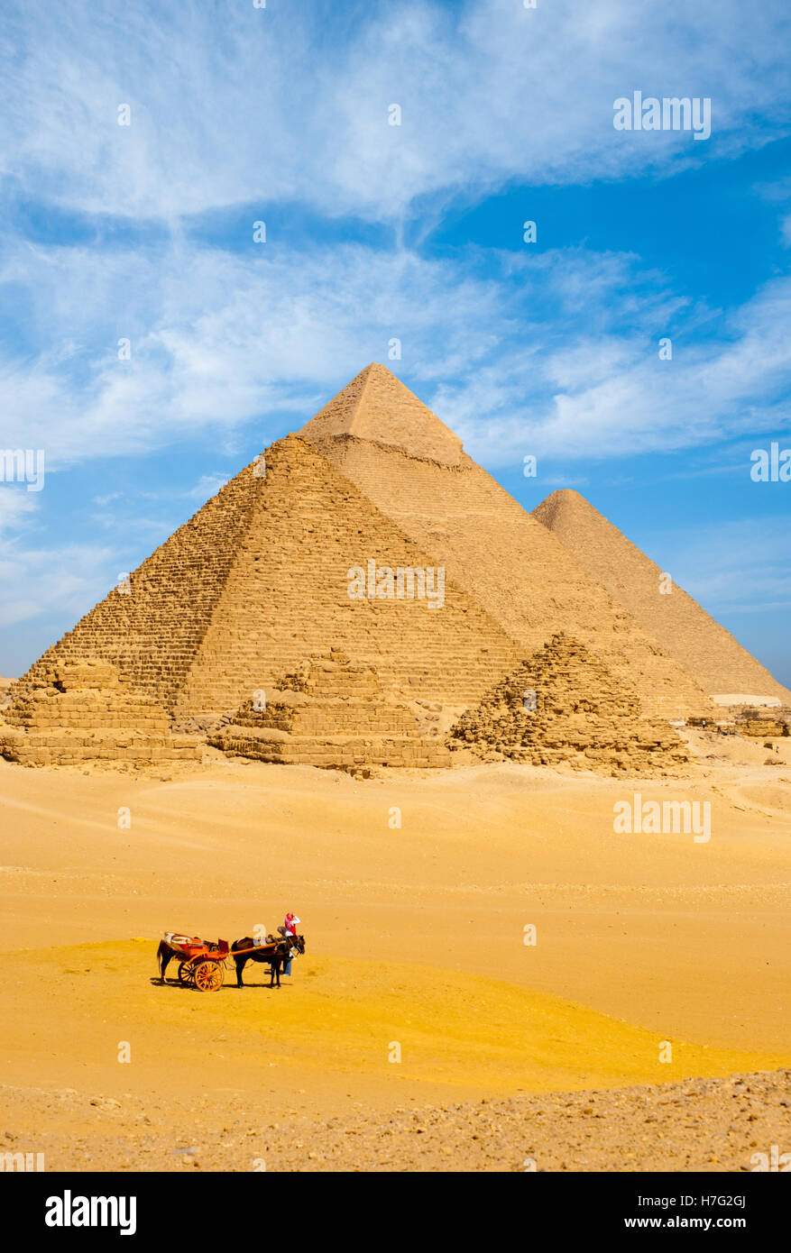 Egypt cairo giza horse cart hi-res stock photography and images - Alamy