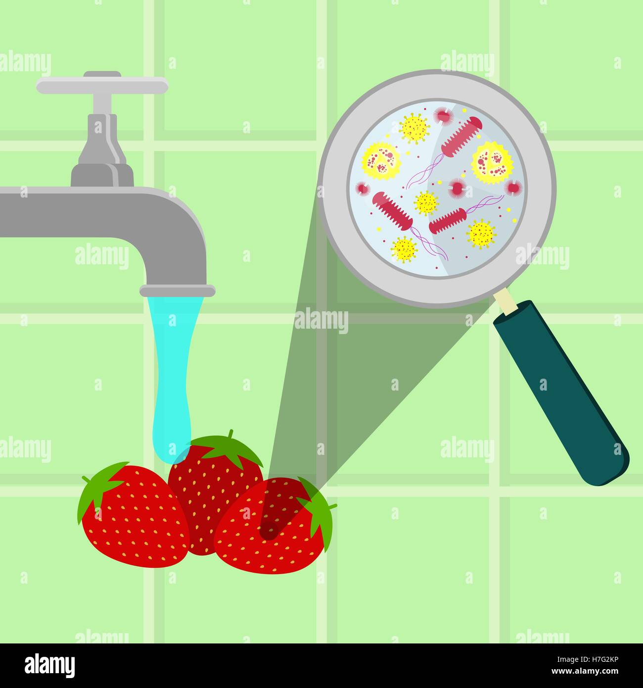 Contaminated strawberries being cleaned and washed in a kitchen ...