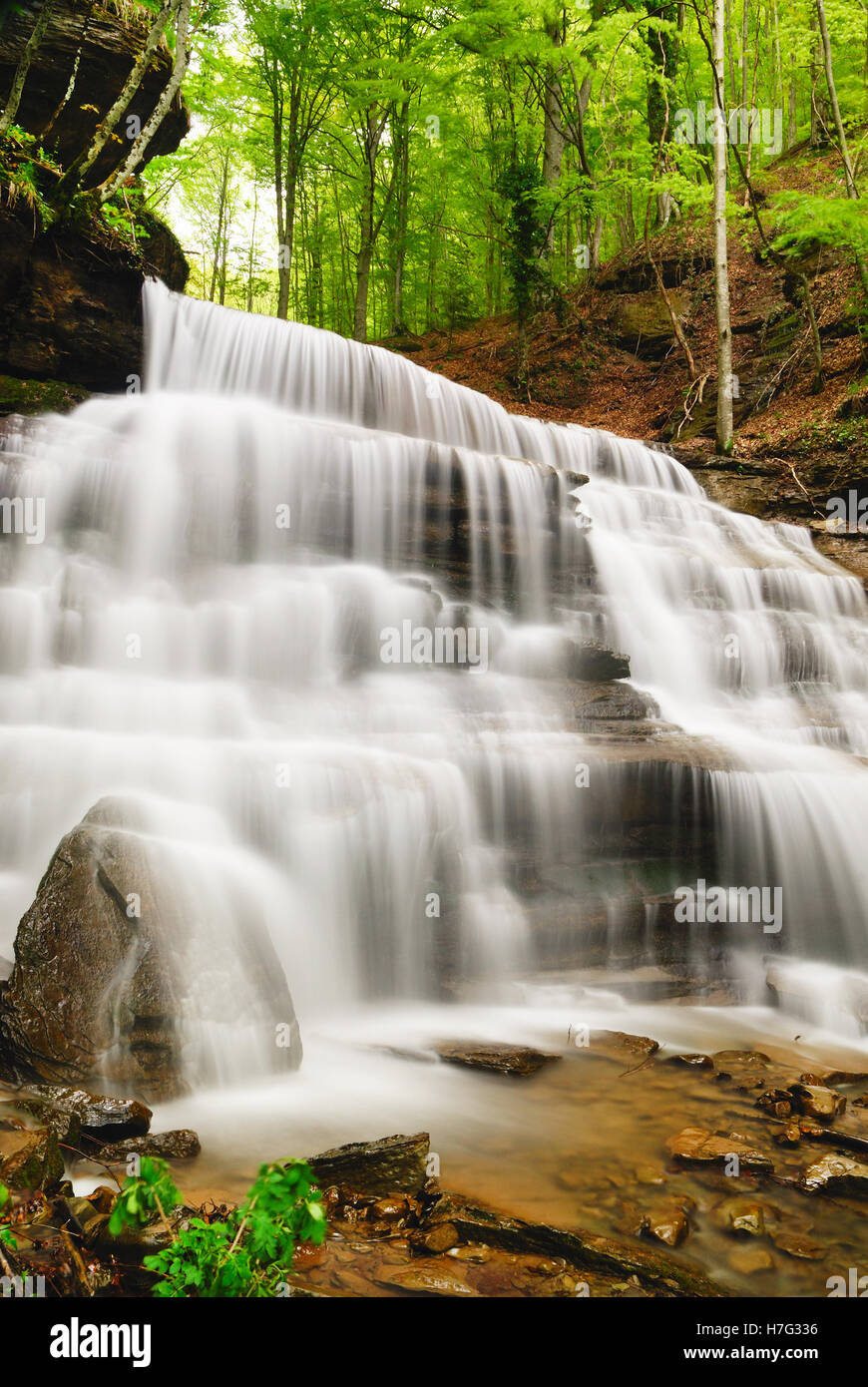 Wild waterfall in spring into the forest Stock Photo - Alamy