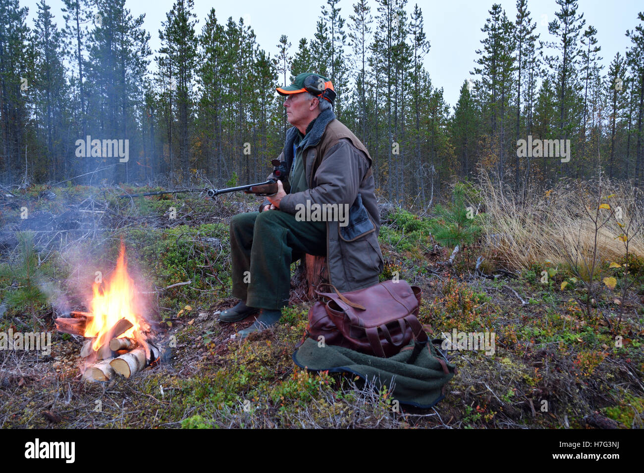 Stump gun hi-res stock photography and images - Alamy