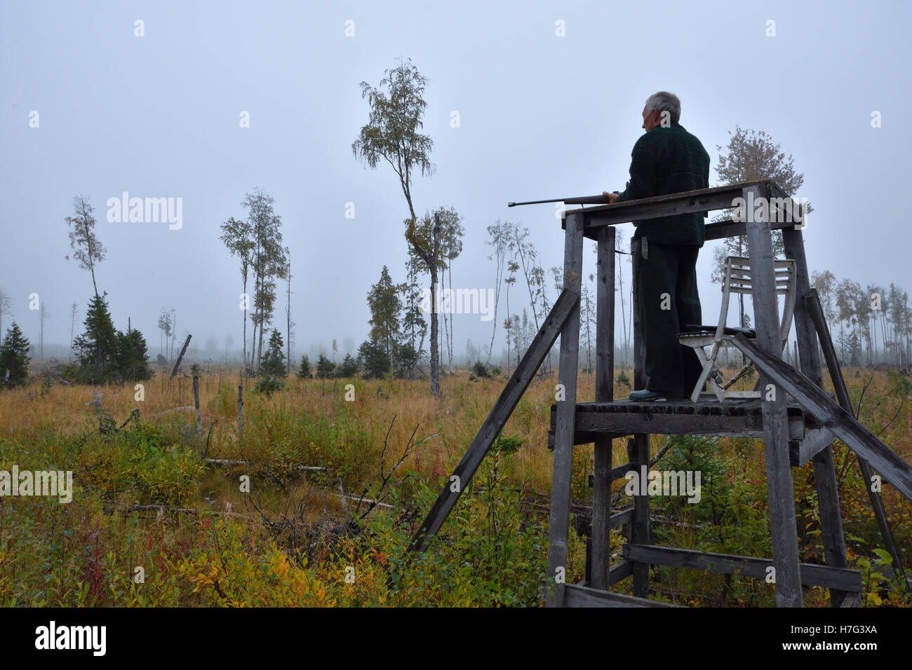 Moose hunter from left side standing in a hunting tower holding his ...