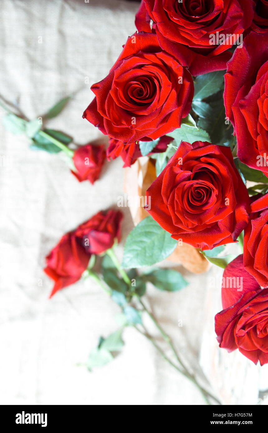 red roses closeup on table,top view Stock Photo - Alamy