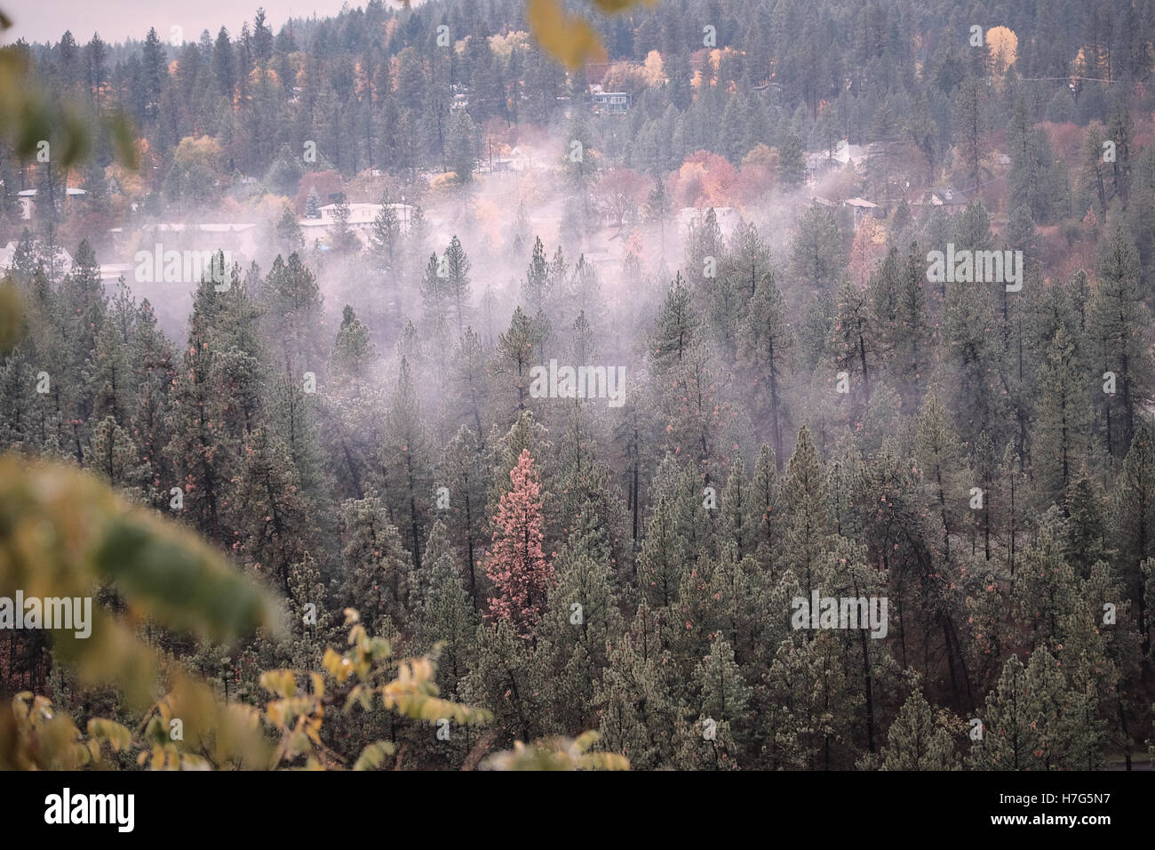 High Bridge Park, Spoakne Washington, USA Stock Photo - Alamy