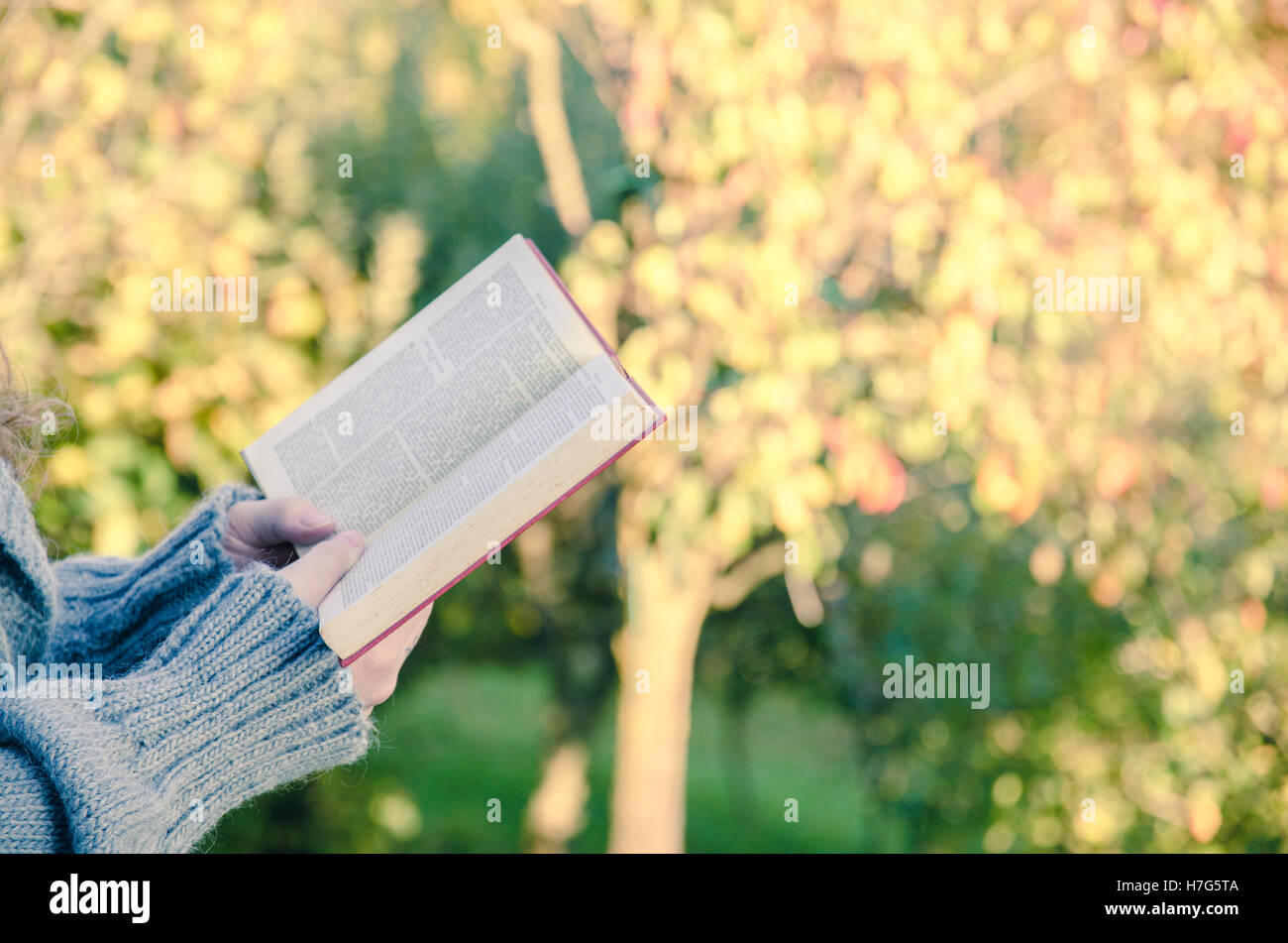 Book park hi-res stock photography and images - Alamy