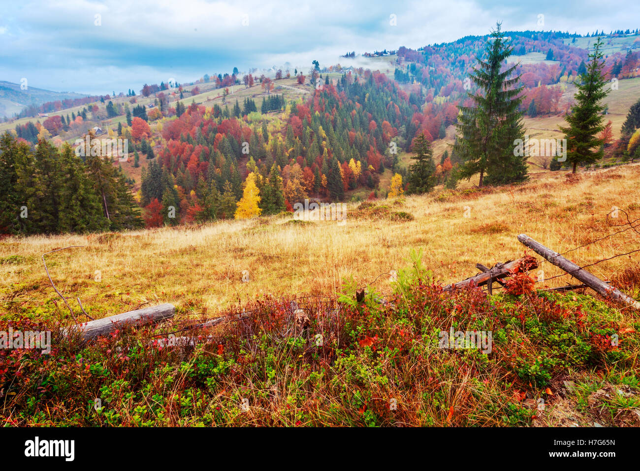 Wonderful autumn hillside in Transylvania Romania Stock Photo - Alamy