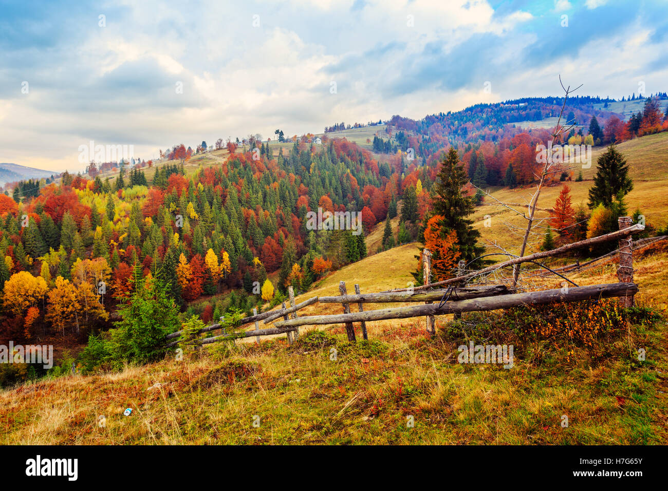 Transylvania romania autumn hi-res stock photography and images - Alamy