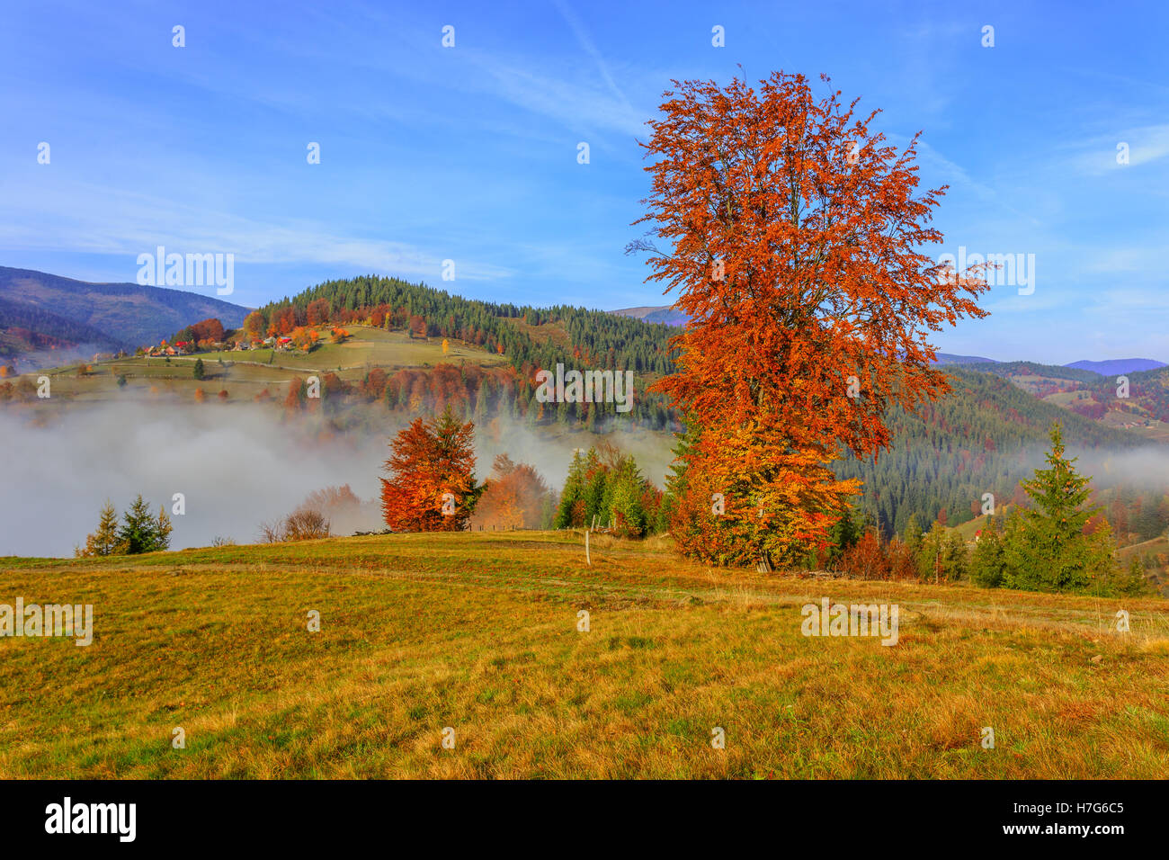 Carpathian mountains transylvania hi-res stock photography and images ...