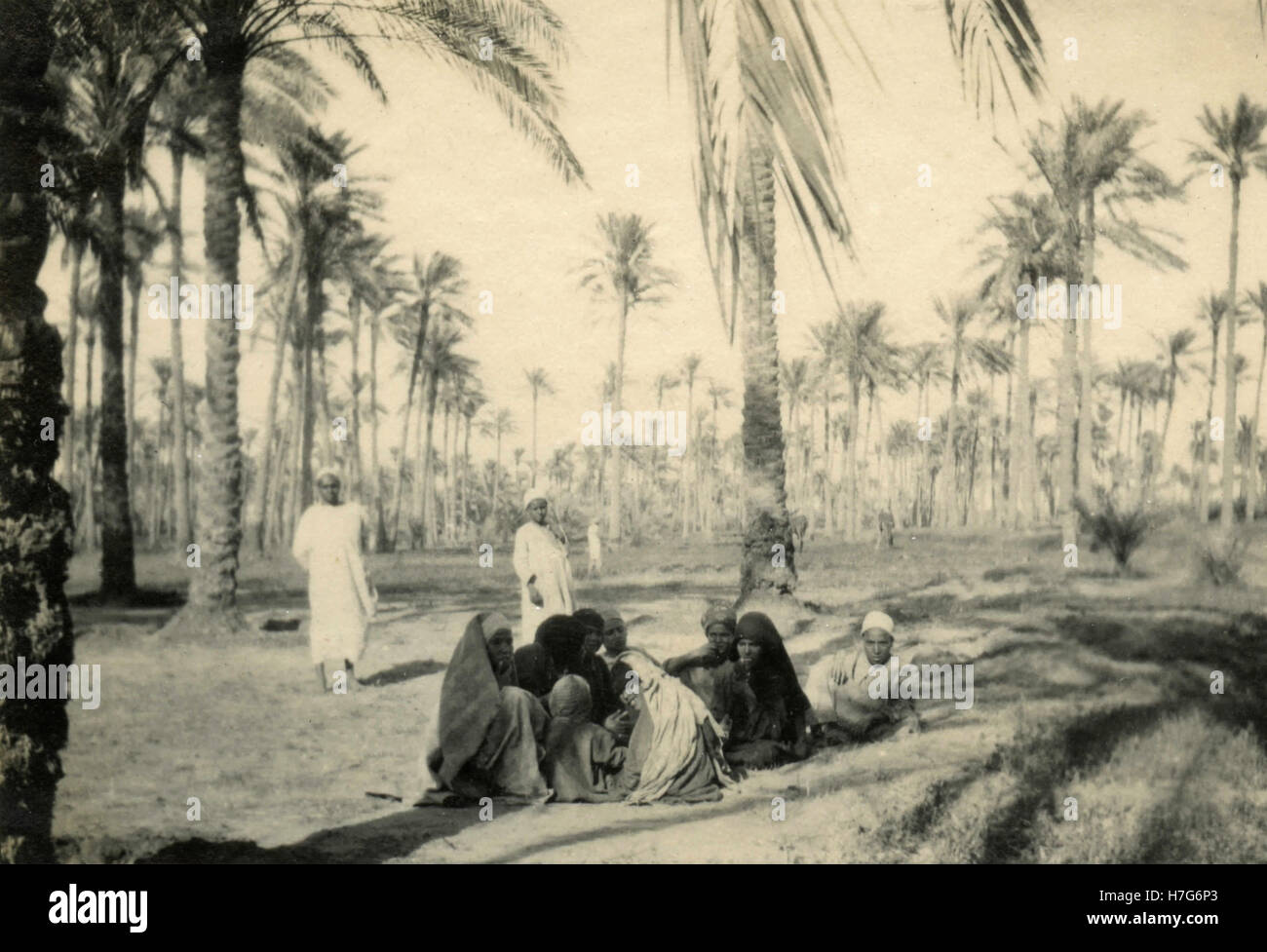 Group of arabs in the oasys, Egypt Stock Photo - Alamy