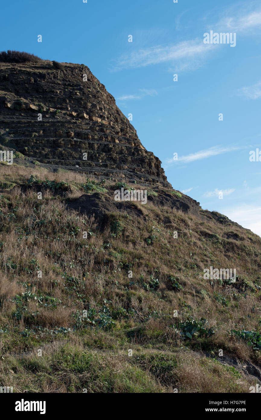 Hen Cliff, Kimmeridge Bay, Dorset, UK Stock Photo - Alamy