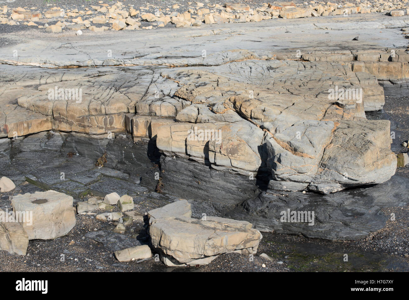 Flats Dolostone Bed rock pools, Kimmeridge Bay, Dorset Stock Photo - Alamy